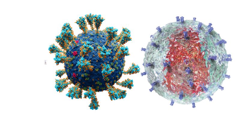 SizeAll - compare Coronavirus SARS-CoV-2 vs HIV/AIDS virus vs DNA ...