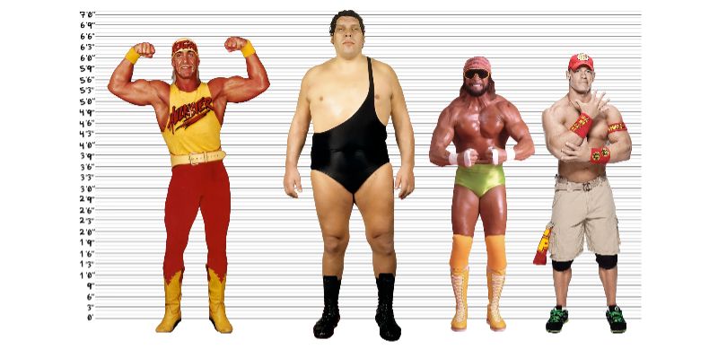 SizeAll - compare Height chart (0-7 feet) vs Hulk Hogan vs Andre The ...