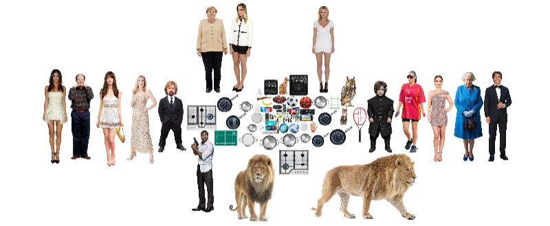 SizeAll - compare Lion vs Anne Hathaway vs Angela Merkel vs Gillian ...