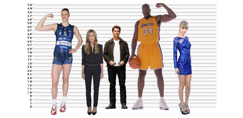 SizeAll - compare Height chart (0-7 feet) vs Shaquille O'Neal vs Anna ...