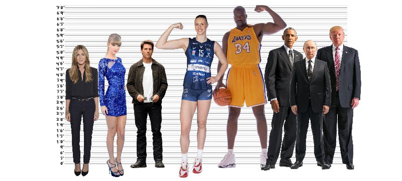 SizeAll - compare Height chart (0-7 feet) vs Shaquille O'Neal vs Anna ...