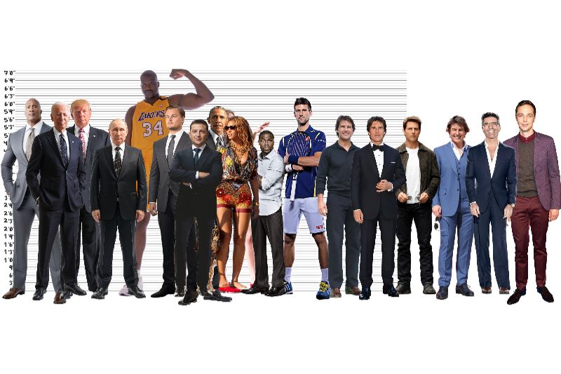 SizeAll - compare Height chart (0-7 feet) vs Shaquille O'Neal vs Taylor ...