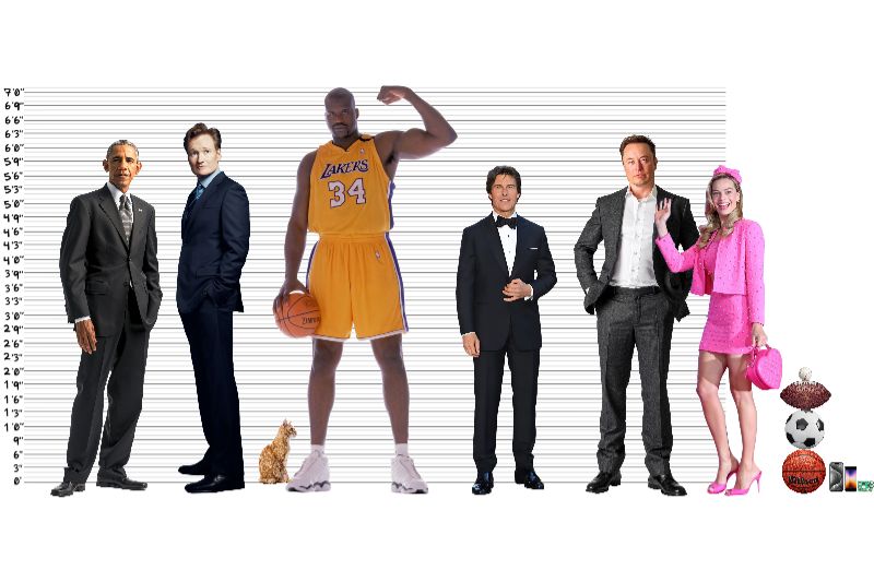 SizeAll - compare Height chart (0-7 feet) vs Shaquille O'Neal vs Elon ...