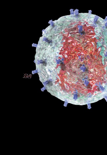 SizeAll - compare HIV/AIDS virus vs DNA molecule vs Methane CH4 ...